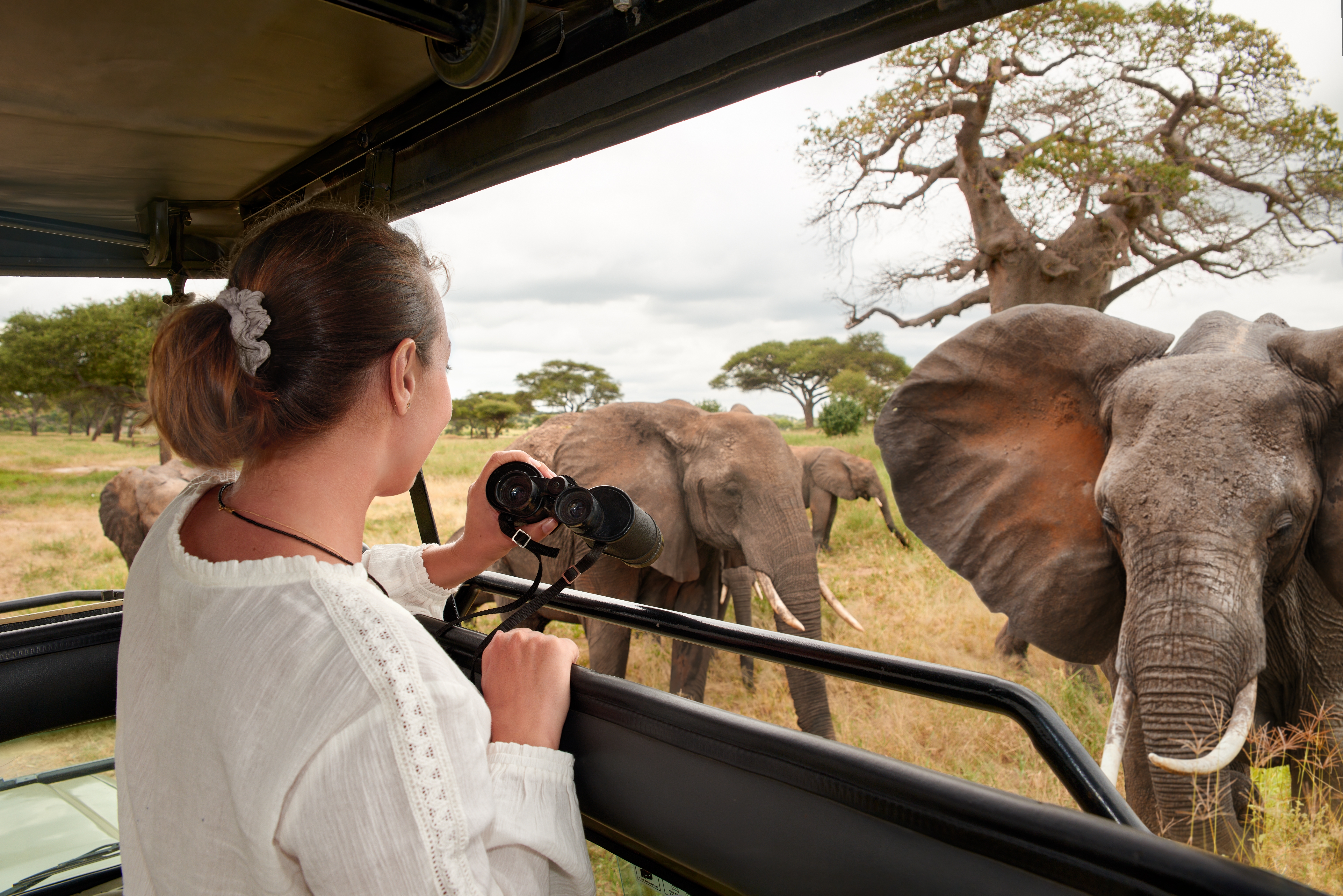 Best of Kenya Safari 8-Night Private Tour | Your Co-op Travel